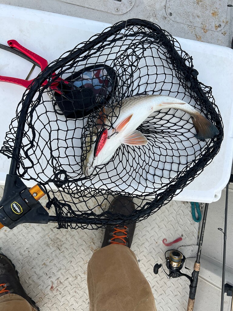 Cut the line…It Works! - Inshore Reports - Charleston Fishing