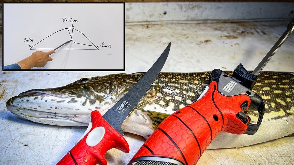 Pike/Jackfish Y-Bone Fillet Vid - Off Topic - Charleston Fishing