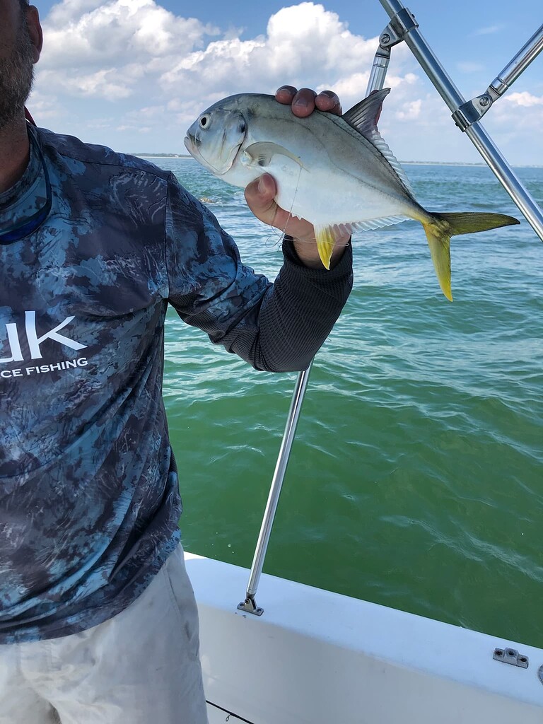 Jack or pompano? - Inshore Discussion - Charleston Fishing