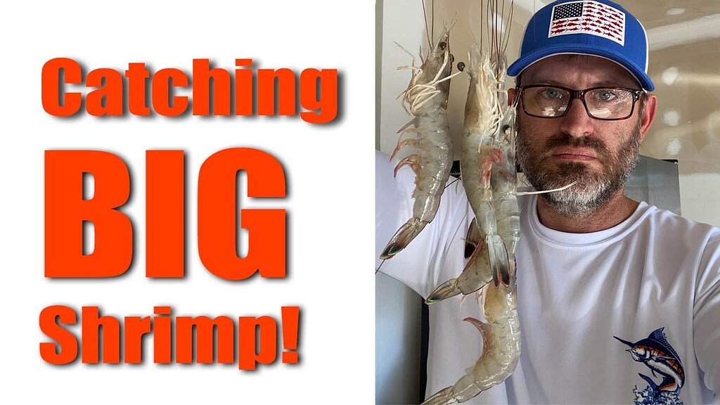 END OF SEASON SHRIMPING | 2022 | #charleston #shrimp #fishing | Rod ...