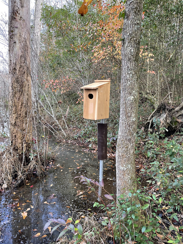 Put out some Duck Boxes Today - Off Topic - Charleston Fishing
