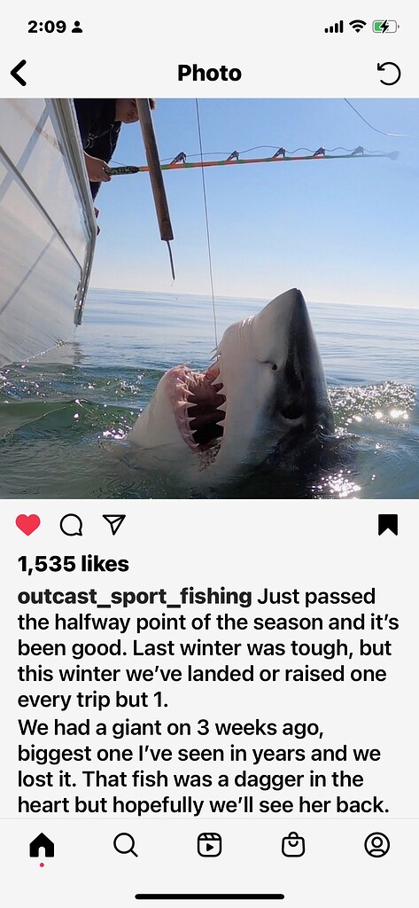 Shark report off our coast - Offshore Reports - Charleston Fishing