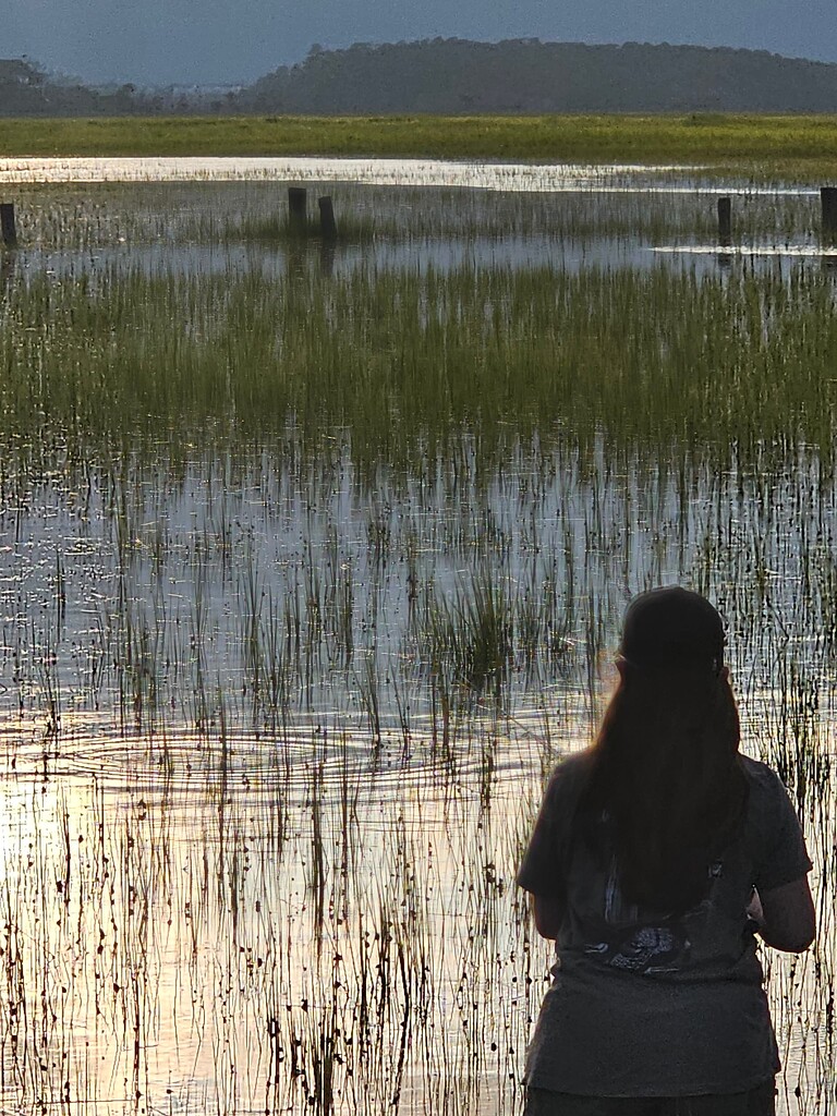 Tailers doing what they do....YSC - Inshore Reports - Charleston Fishing