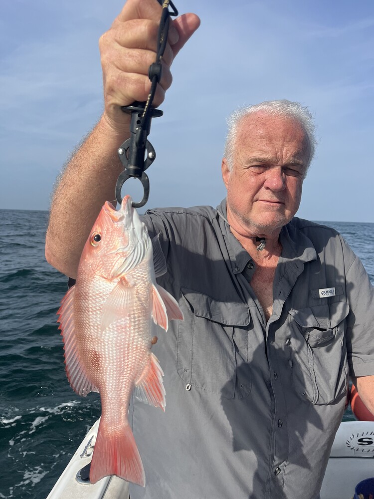 Edisto Palmetto Charters LLC 4KI Reef - Edisto - Charleston Fishing