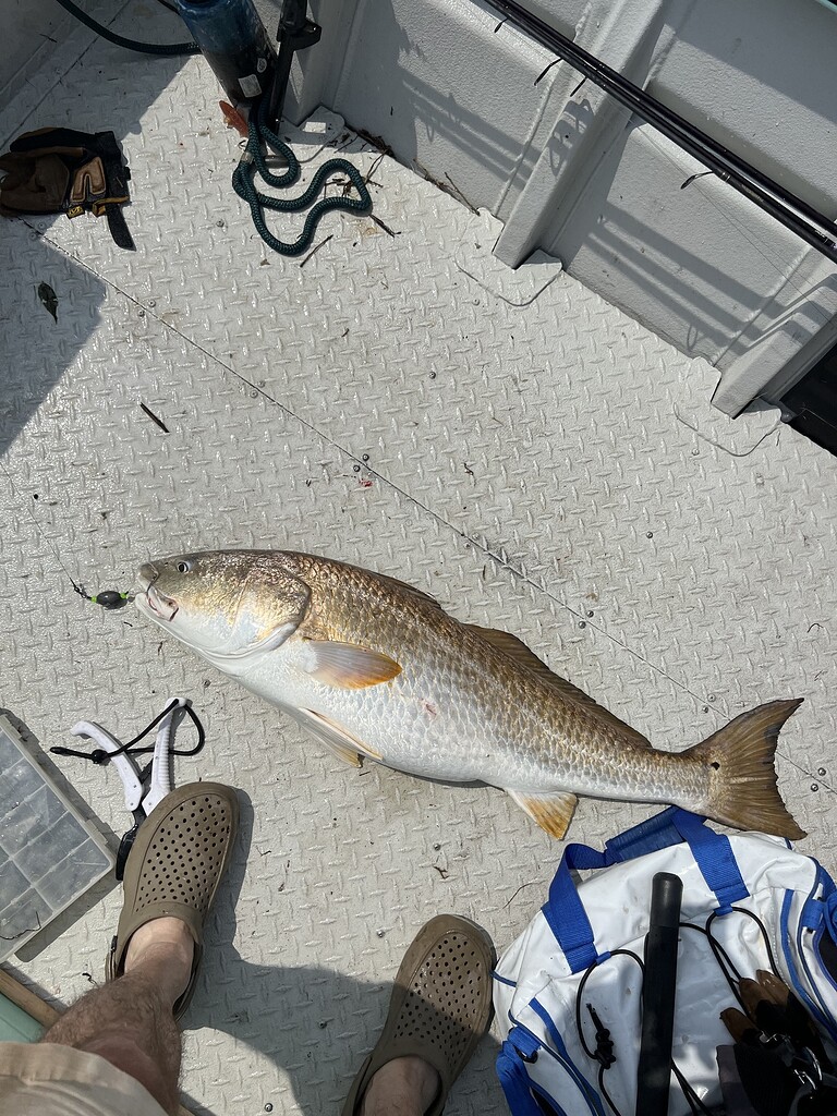 Winyah Bay Bull Reds - Inshore Reports - Charleston Fishing
