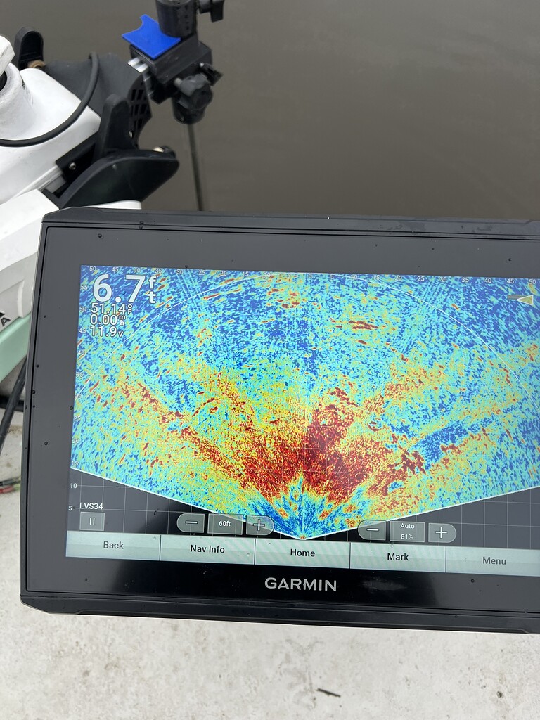 Live Scope finally pays off…details - Inshore Reports - Charleston Fishing