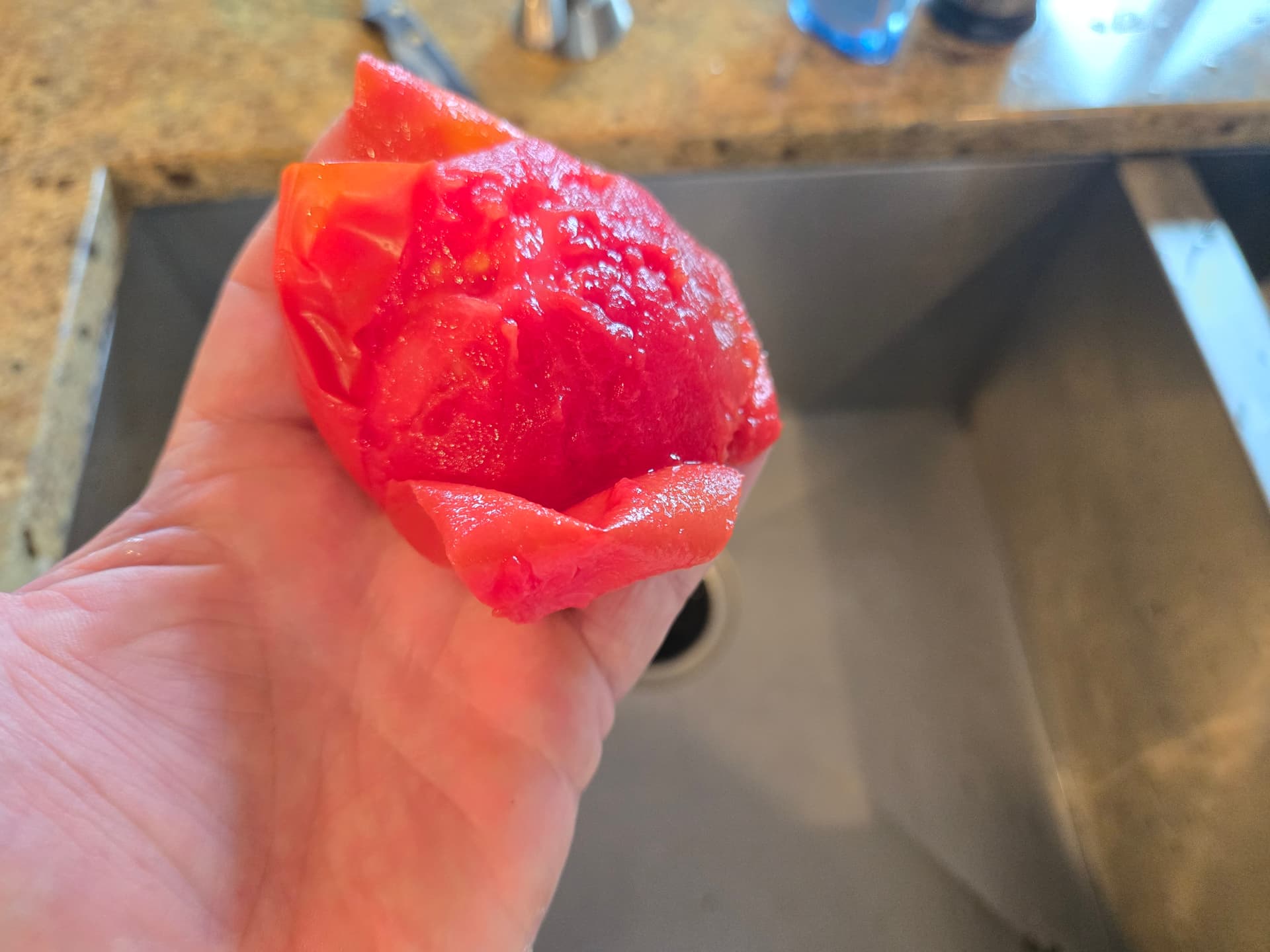 Making Red Sauce With EF - Cooking your catch - Charleston Fishing
