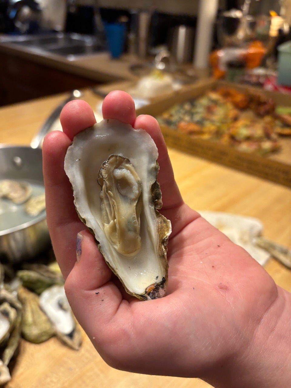 Best Ditty Bag Ever - Bonzos Bargains - Charleston Fishing