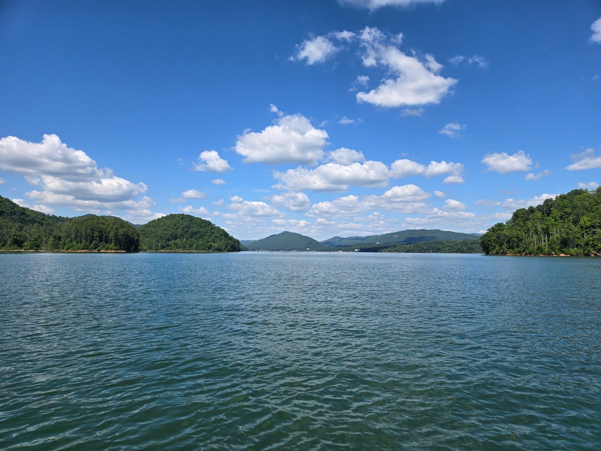 Watauga--A Lake Near Me - Freshwater - Charleston Fishing